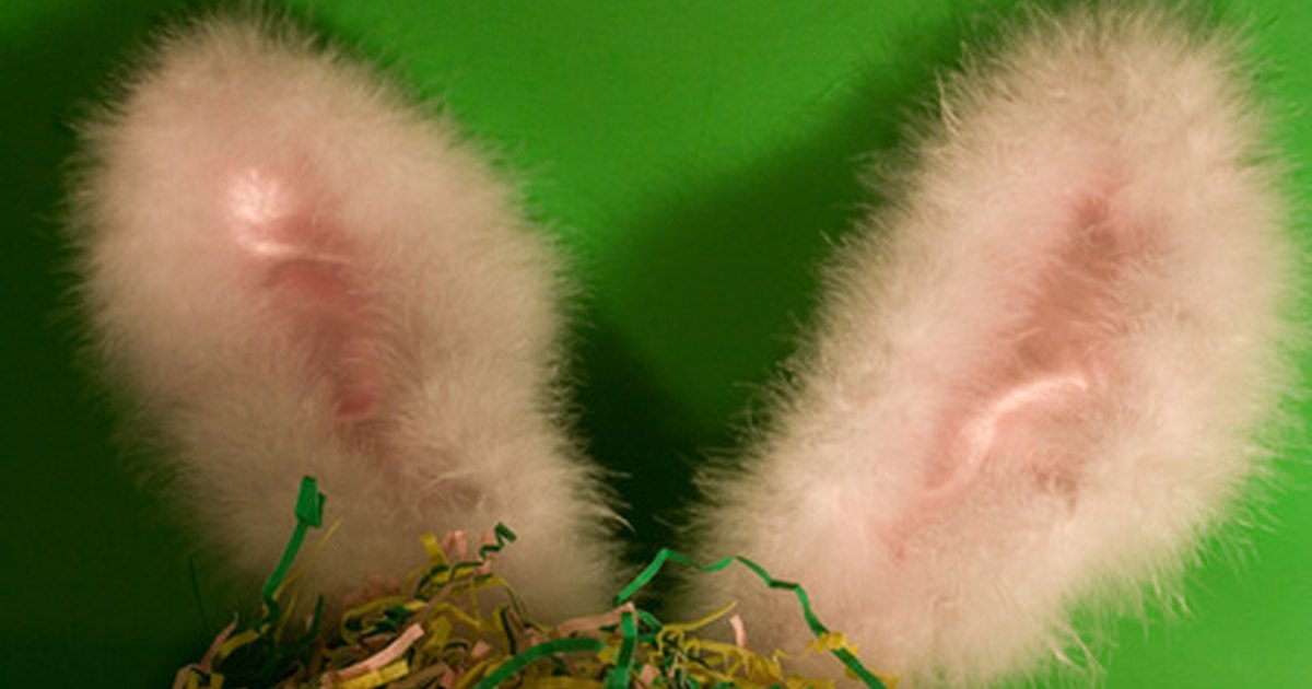 how-to-make-bunny-ears-from-human-hair-ehow-uk