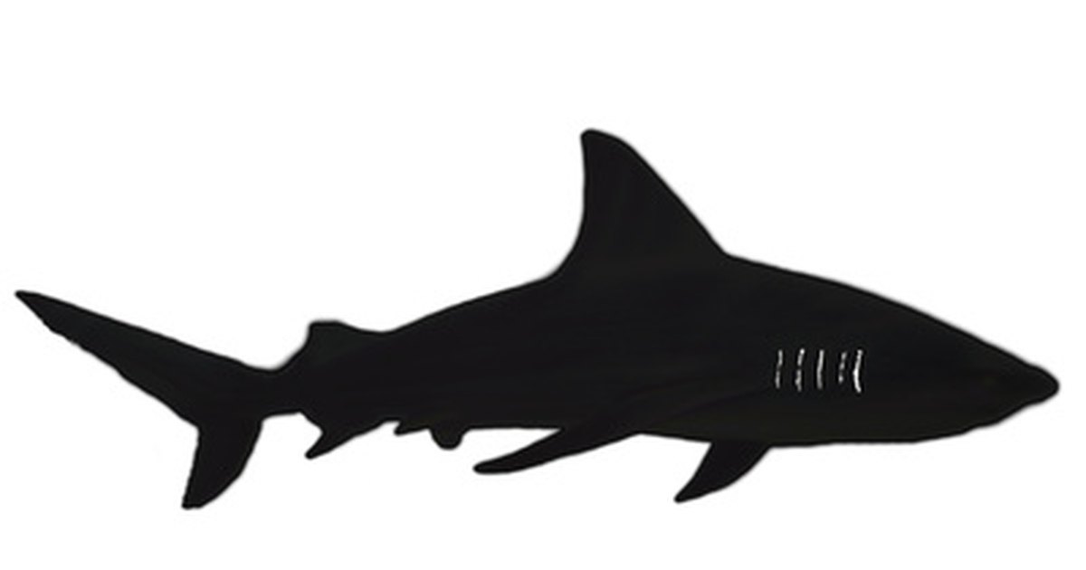  How To Make A Paper Mache Shark EHow UK