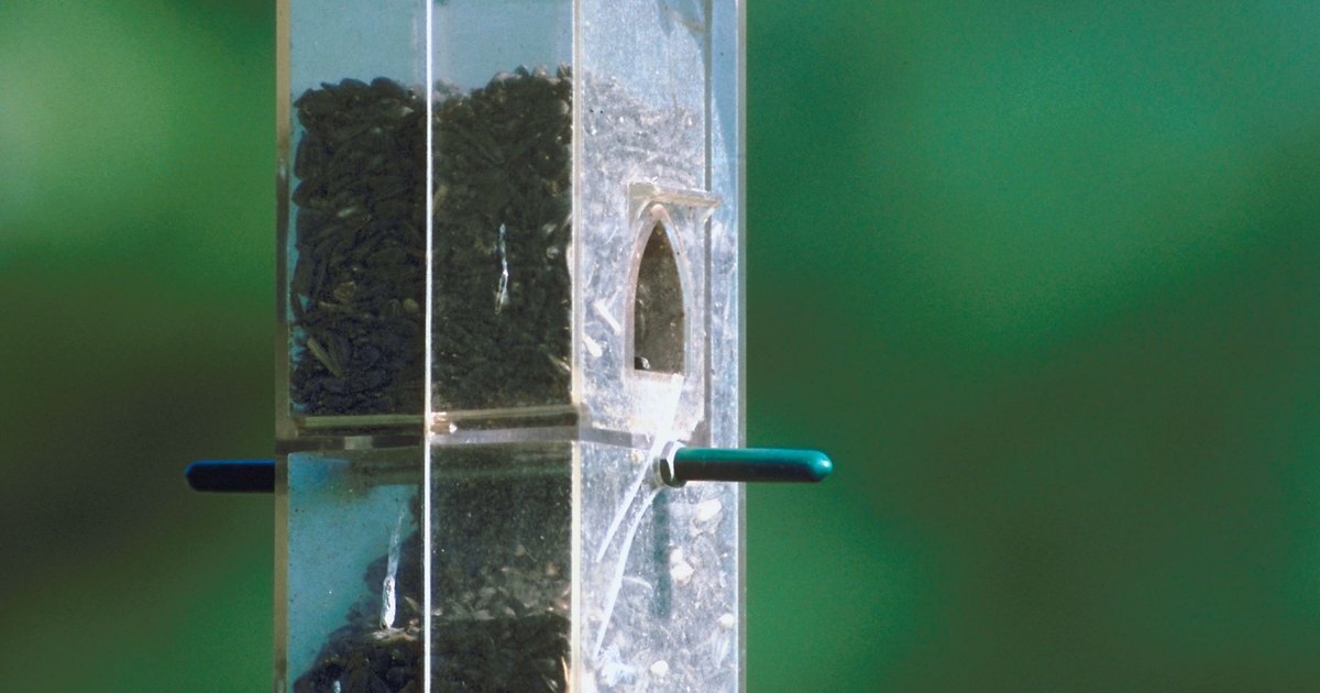 How To Rat Proof My Bird Feeder Ehow Uk